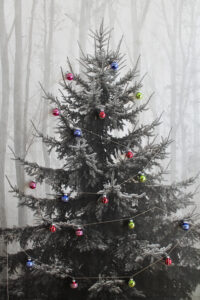 diy makeshift christmas tree – almost makes perfect