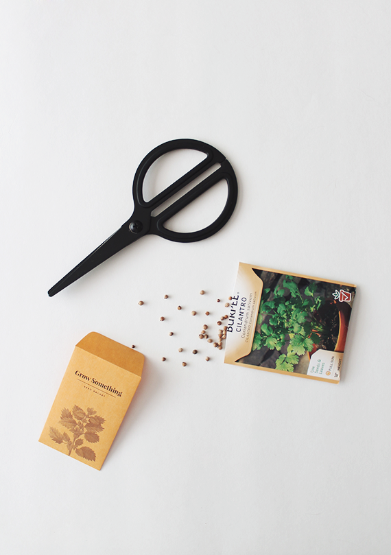 diy seed packets with free printable – almost makes perfect