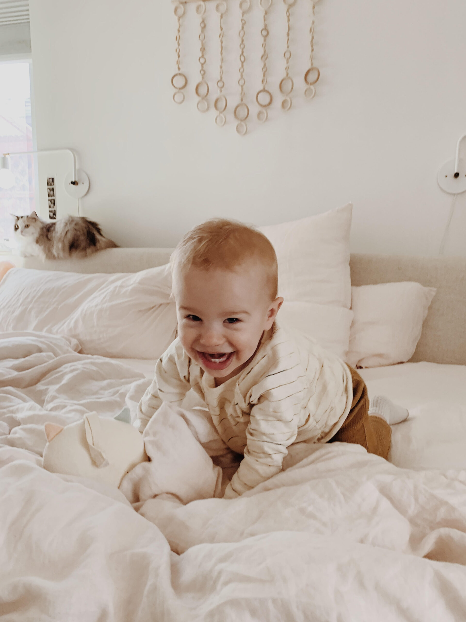 2018 wrap up – almost makes perfect