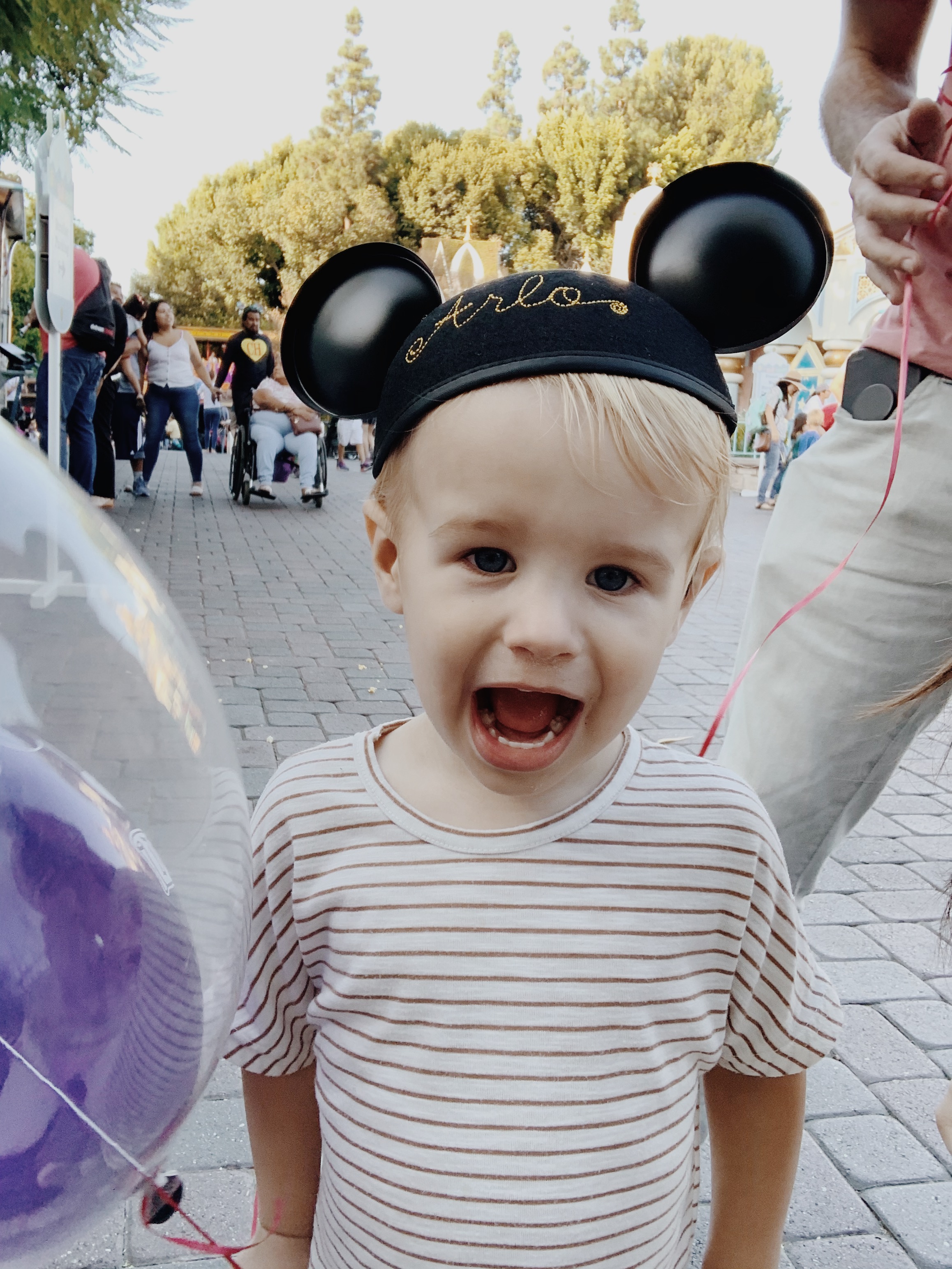 Disneyland With A Toddler Almost Makes Perfect